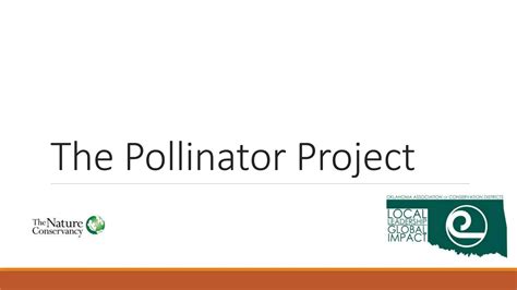 The Pollinator Project Pptx