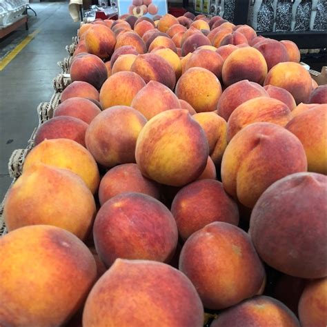 Peaches Information Recipes And Facts