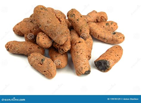 Expanded Clay Aggregate Stock Image Image Of Beads Agronomy 19978129