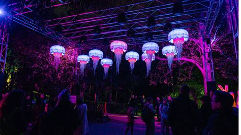 Electric Kingdom Is The New Luminous Festival Taking Over Birrarung Marr This September