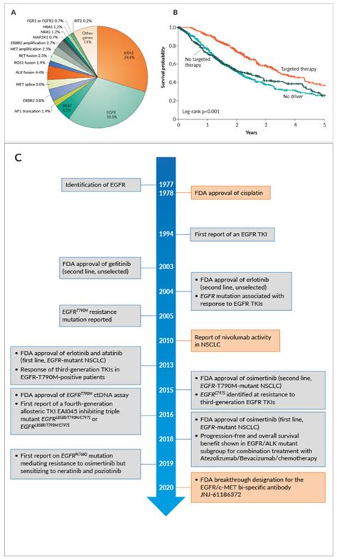 Critical Review Of Egfr Mutated Nsclc What We Do And Do Not Know