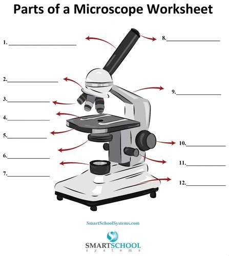 Biology Test 1 Flashcards Quizlet