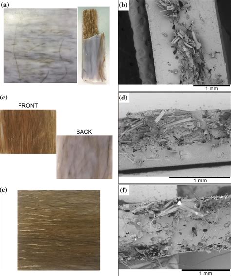 Pictures And Corresponding Sem Micrographs Of Samples Obtained By