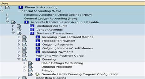 How To Perform Sap Dunning Process And Configuration Apprisia