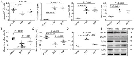 Altered Hdl Function In Apoe Mice A The Serum Lipid Profiles