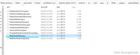 Webviewflutter旧版本2013不能访问filexxxhtml提示 Erraccessdenied或文件找不到的