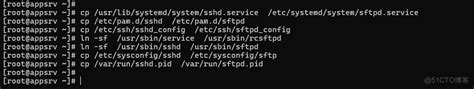 网络系统管理linux环境——appsrv之ssh影玺阁的技术博客51cto博客 网络系统管理linux环境——appsrv之ssh影玺阁的技术博客51cto博客