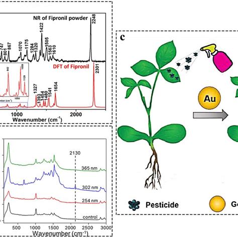A An Alkyne Mediated Sers Aptamer Sensor For Anti Interference