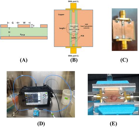 A Schematic Showing The Cross Section Of The Coplanar Waveguide B Download Scientific