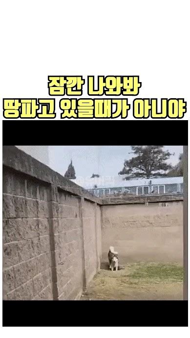 유머킥 유머 웃짤 웃긴동영상 힐링 유머 유머스타그램 유머저장소 꿀잼 짤방 웃긴영상 웃긴짤 Instagram