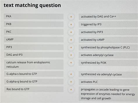 Solved Text Matching Question Chegg Com
