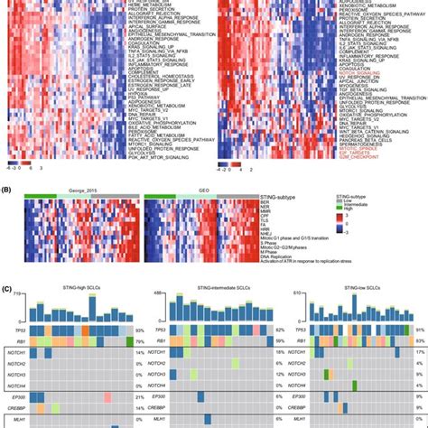 Hierarchical Clustering Analysis Identifies Three Sting‐related Sclc