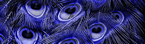 Installing Sap Ariba Cloud Integration Gateway