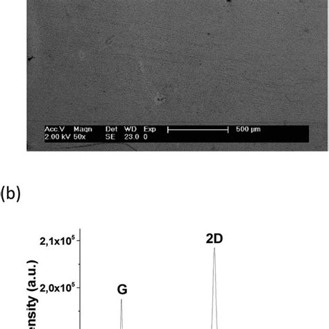 A Single Layer Graphene Transferred Onto A Sio 2 Si Substrate A The