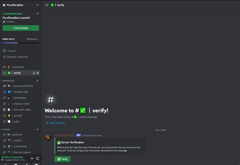 Discord Server Setups Behance