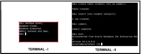 how to shutdown oracle database dot net tutorials