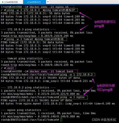 Docker学习：外部浏览器访问容器 容器访问容器 访问容器的常用5种方式 P P 详解docker Run P Csdn博客
