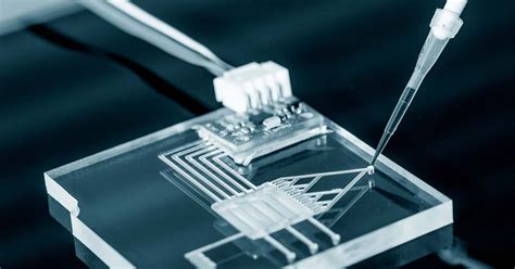 Desarrollaron Un Sensor Con Nanotecnología Que Detecta El Cáncer De Pulmón Antes De Que El