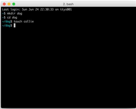 creating new folders and files in terminal by heather cleland medium