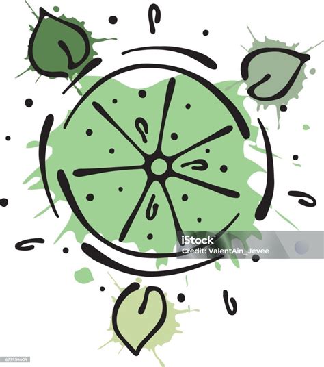 벡터 과일 그림입니다 오렌지 잎 흰색 배경에 고립 된 장식 요소 손으로 그린된 등고선과 선 낙서 스타일 그래픽 벡터 일러스트 레이 션 0명에 대한 스톡 벡터 아트 및 기타