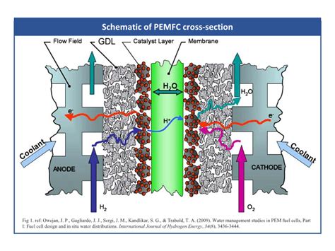 Pemfc Interfacial Pheonomena Laboratory