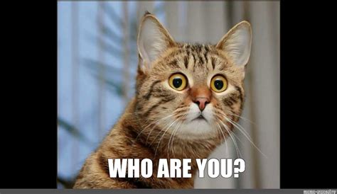 Meme Who Are You All Templates Meme