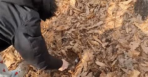 땅 속에서 나온 수상한 하얀 벽돌전국 334곳에영상