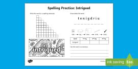 Column Spelling Practice Worksheet Teacher Made Twinkl