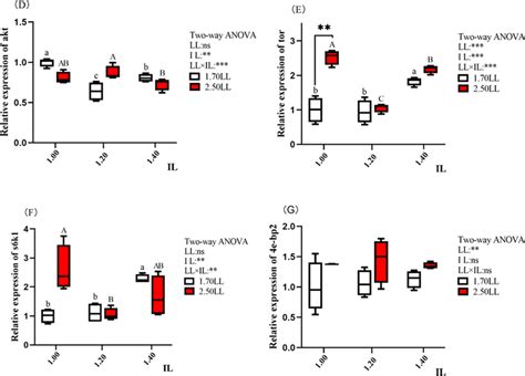 The Transcriptional Levels Of Genes Involved In Target Of Rapamycin Download Scientific Diagram