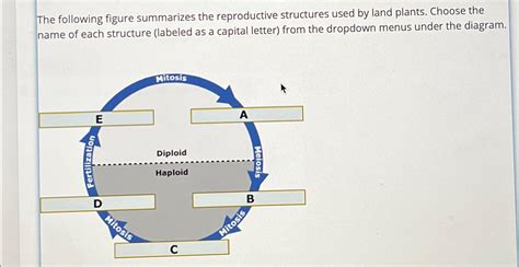 solved the following figure summarizes the reproductive