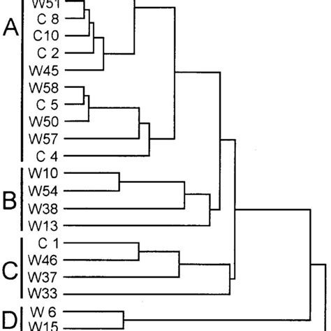 upgma cluster analysis of nei distances uppercase letters to the left