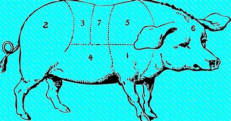 Why Isnt Meat Processing Done By Robots By Eric J Scholl The