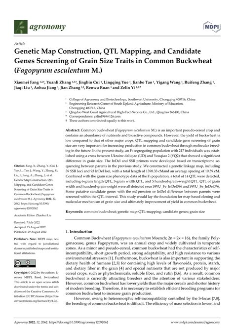 Pdf Genetic Map Construction Qtl Mapping And Candidate Genes Screening Of Grain Size Traits