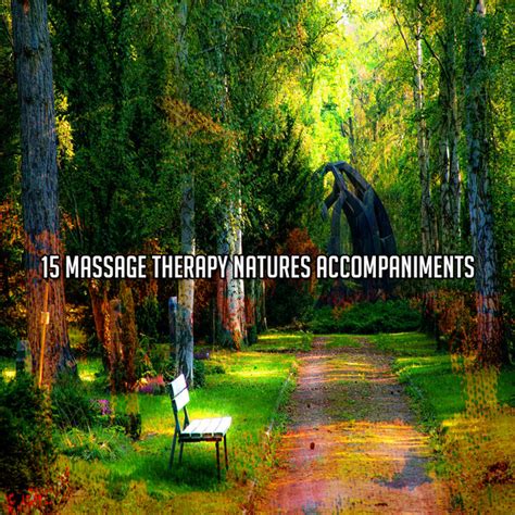 15 Massage Therapy Natures Accompaniments Album By Nature Sounds Xle