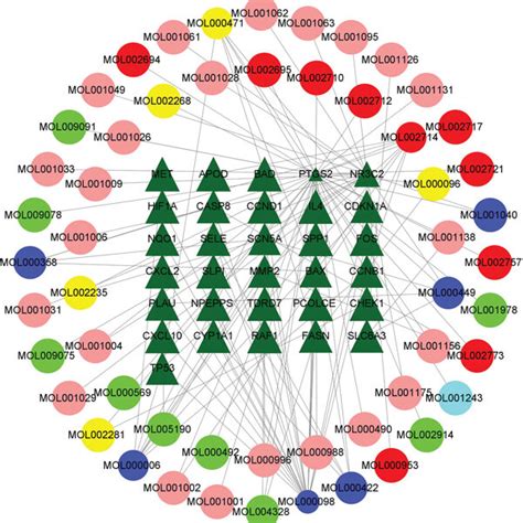 The Ppi Network Of Overlapping Targets Download Scientific Diagram
