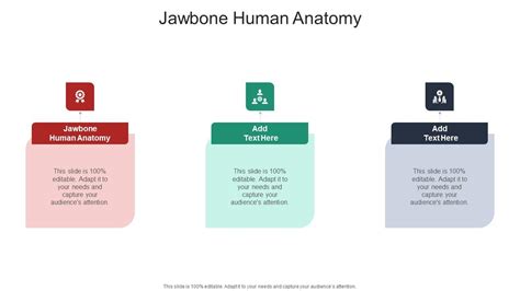 Top 10 Human Anatomy Slides Powerpoint Presentation Templates In 2026