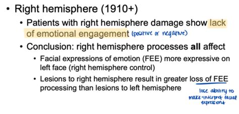 Emotion Processing Flashcards Quizlet