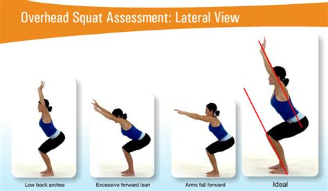 Overhead Squat Assessment Lateral View Diagram Quizlet