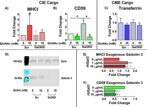 Mhci And Cd59 Cie Have Different Responses To Galectin 3 Cme Is