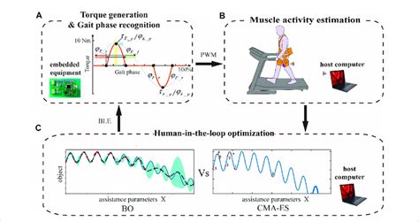 Human In The Loop Optimization Experiment Setup A Assist Torque