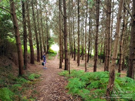 스페인 갈리시아 스페인의 숨은 보석 갈리시아 비가 와도 우리는 바다에 간다 한여름에도 서늘한 스페인 북서부 자연 그대로의 해변가 많은 곳 밧줄타고 절벽내려가야
