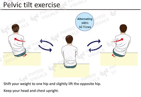 Pelvic Tilt Exercise Physio Visuals Illustrated Exercise Stretching