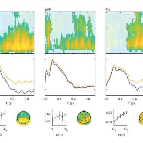 EEG ERP Portal User Interface Preview Download Scientific Diagram