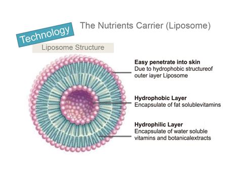 Liposomal Supplement Manufacturer And Suppliers Xian Sheerherb