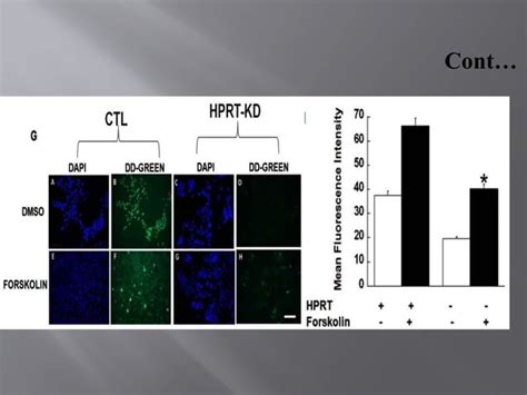 Molecullar Biology Sajid Presentation Pptx