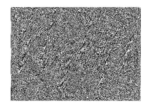 初探FFT在数字图像处理中的应用 fft 函数的用法 gccbuaa 博客园