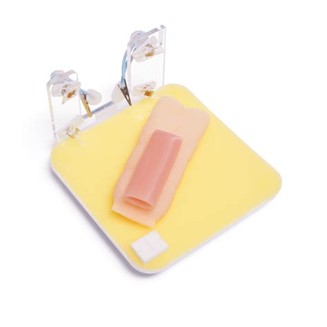 Hemicolectomy Training Module Surghero Laparoscopic Trainers