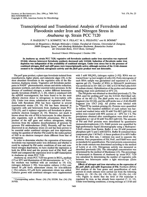 Transcriptional And Translational Analysis Of Ferredoxin And Flavodoxin