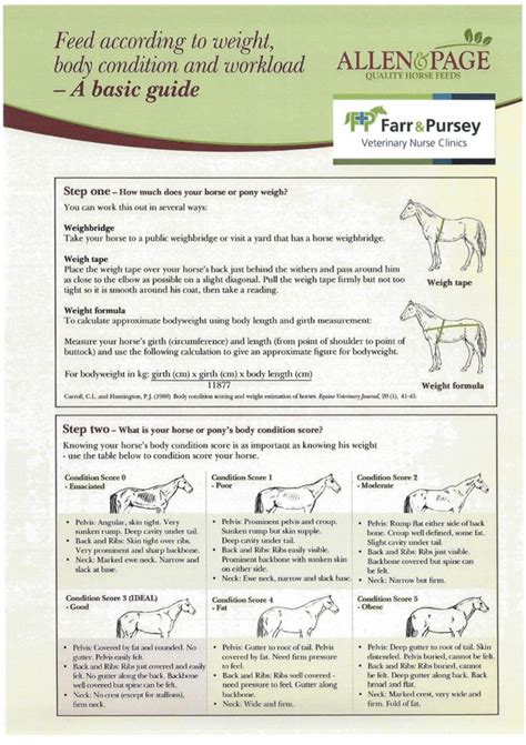 Bcs Chart Farr And Pursey Equine