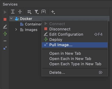 JetBrains Rider S Docker Integrations JetBrains Guide